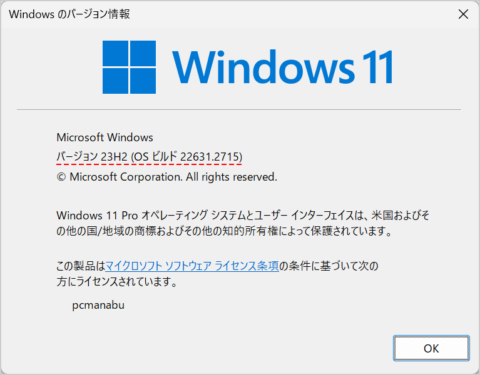 如何在 Windows 11 上启用 Copilot（简单指南） - IT基礎